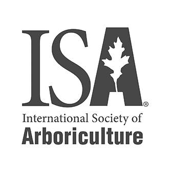 Cedar Clearing & Mulching | Cedar Eaters of Texas