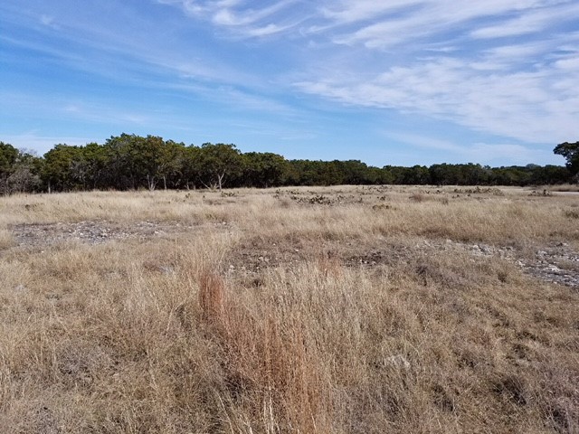 Not All Cedar is Bad: Restoring the Natural Balance to Your Land ...