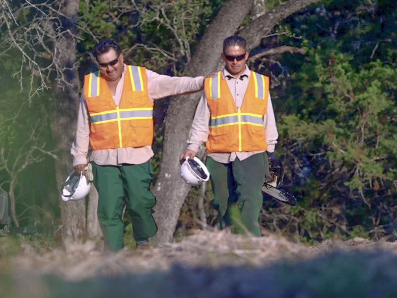 Land Clearing Jobs - Cedar Eaters™ of Texas