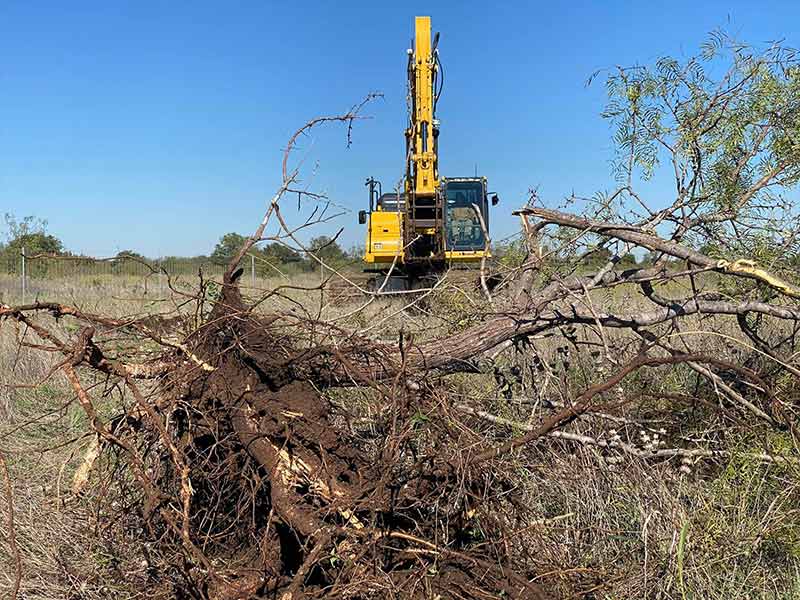 Leading Mesquite Grubbing Services - Cedar Eaters™ of Texas