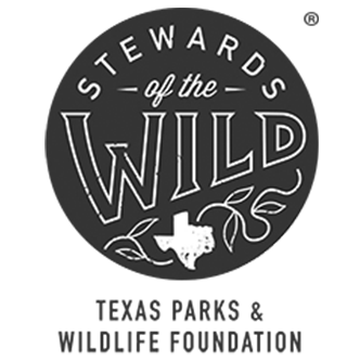 Cedar Clearing & Mulching | Cedar Eaters of Texas