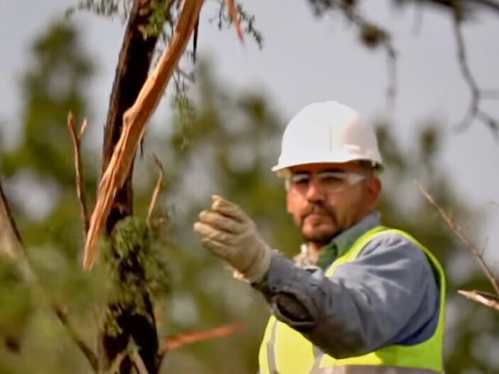 Land Clearing Jobs - Cedar Eaters™ of Texas