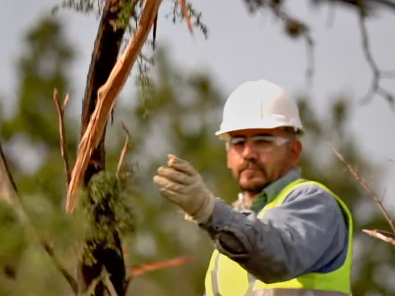Land Clearing Jobs - Cedar Eaters™ of Texas