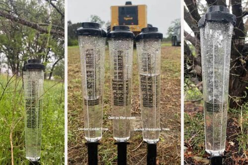 Clearing Land to Maximize Rainfall Retention - Cedar Eaters