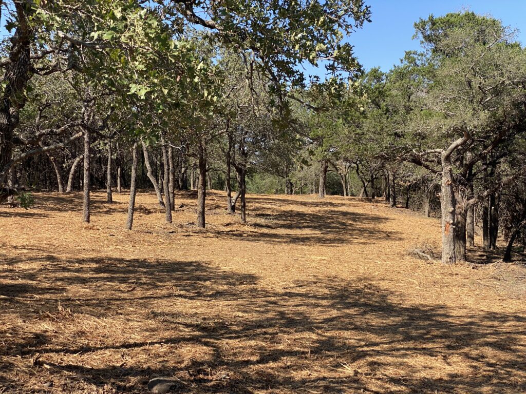 Land Clearing Palo Pinto County Near Mineral Wells TX - Cedar Eaters ...
