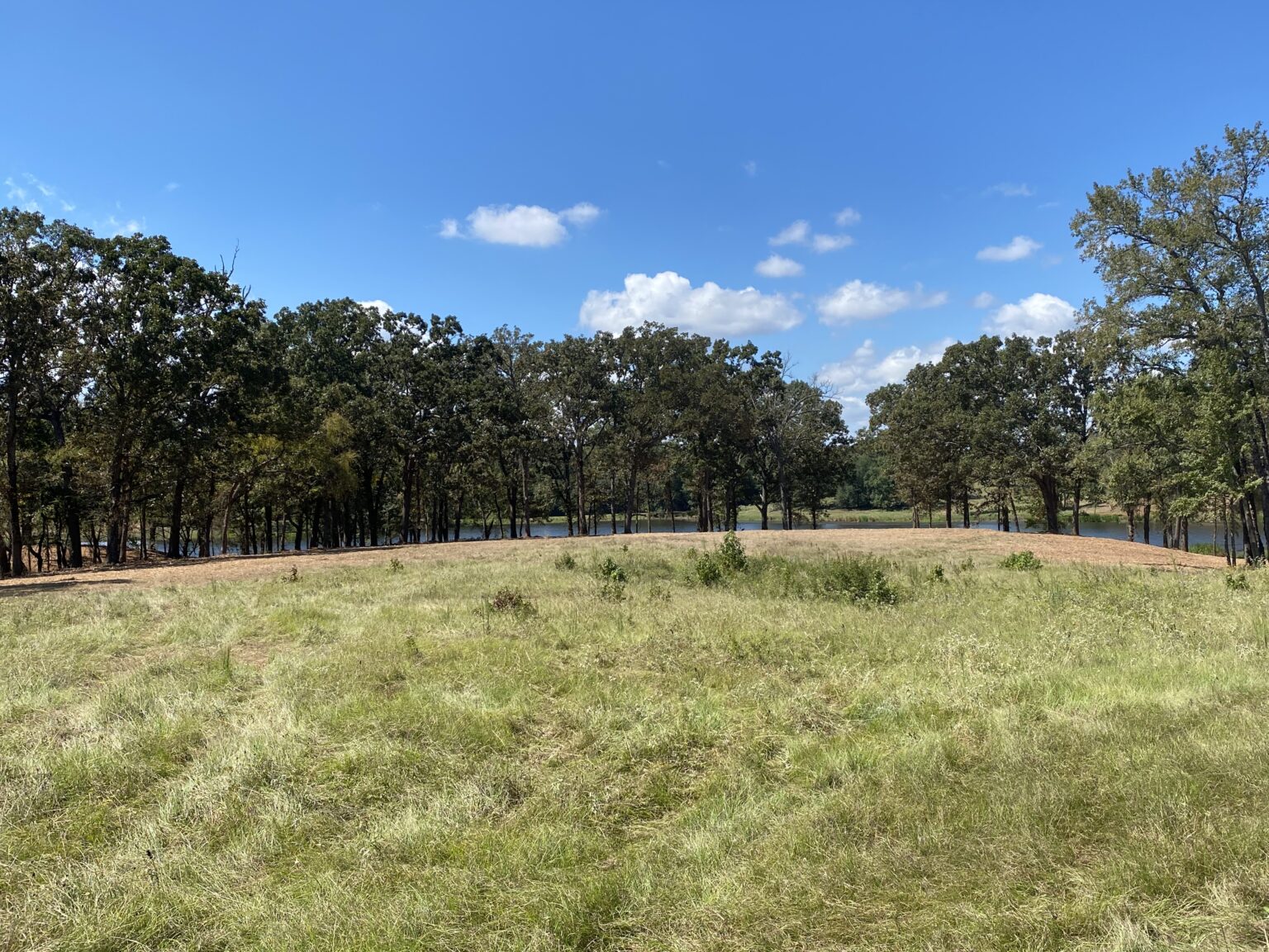 Cedar Eater Forestry Mulching & Clearing Land in East TX. - Cedar ...