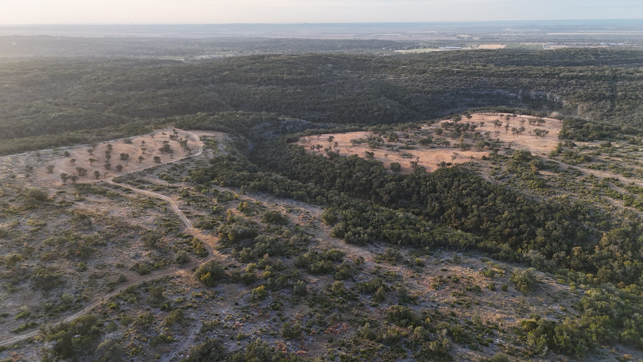 Projects Archive - Cedar Eaters™ of Texas