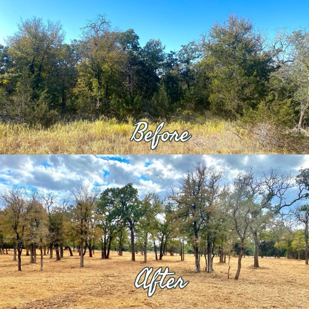 Completed Land Clearing Near Jonesboro, Texas - Cedar Eaters™ of Texas